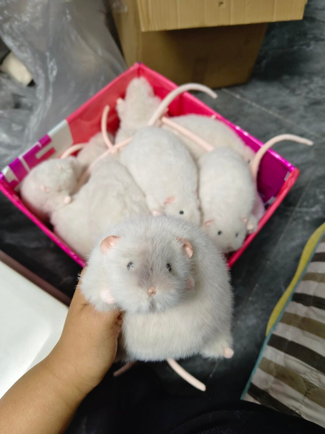 Noteman shop – N O T E M A N Shop