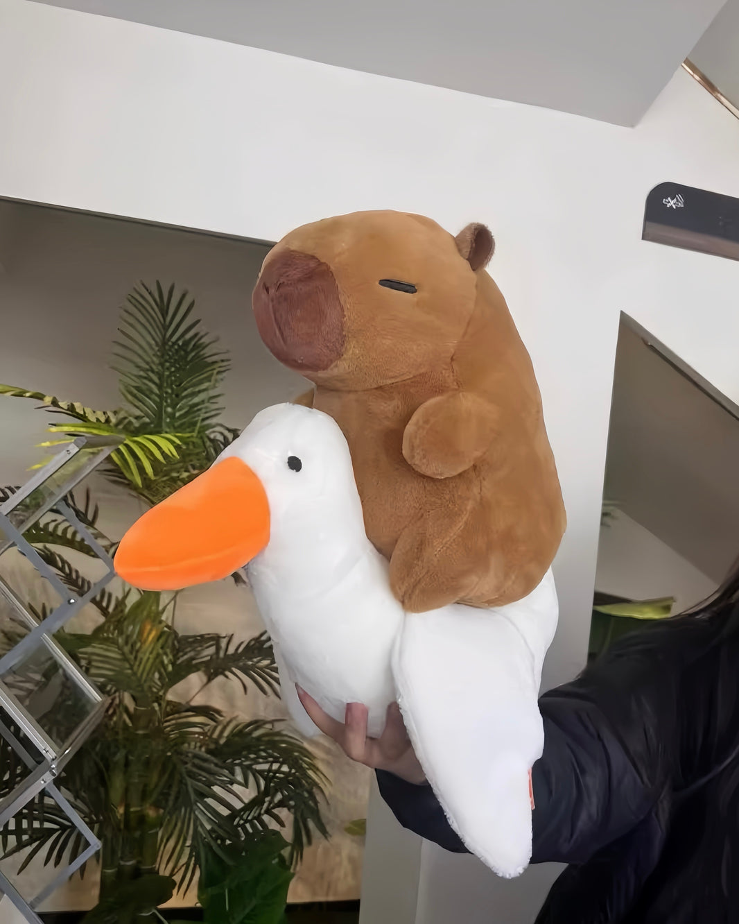 Noteman shop – N O T E M A N Shop