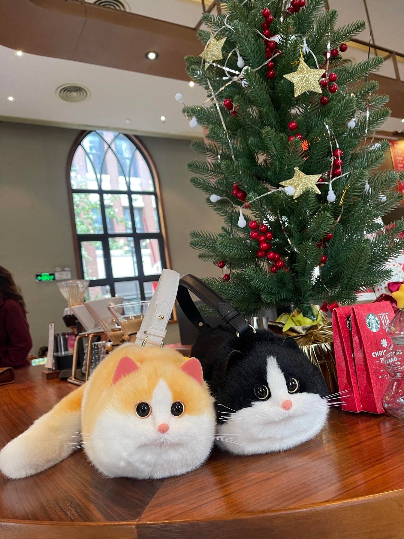 Realistic cat bag🐈‍⬛🐈🐱😻😹😽 – N O T E M A N Shop